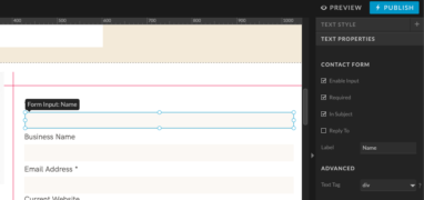 How to Easily Make an Attractive Application Form in Showit